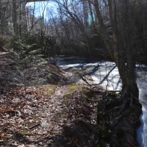 Round Meadow Overlook Trail - Best of Lake Norman